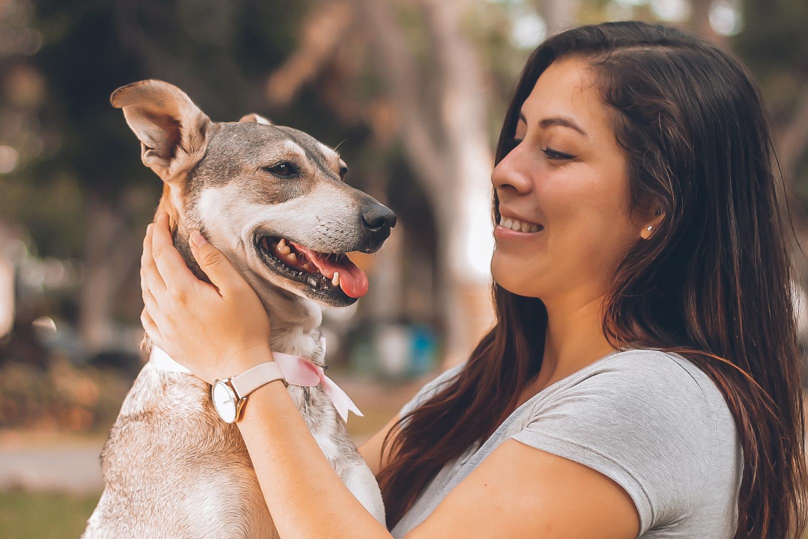 Animals Environment Uncommon Giving